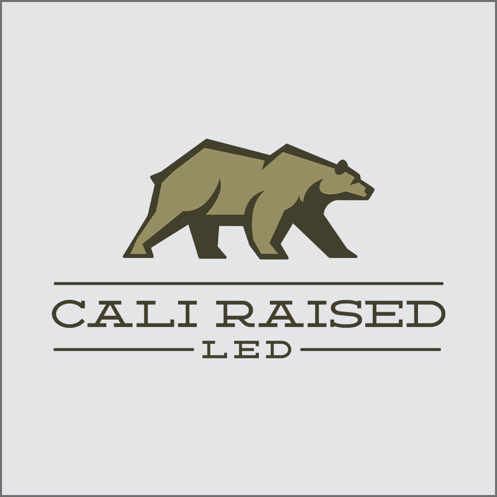 Cali Raised LED Light Bars