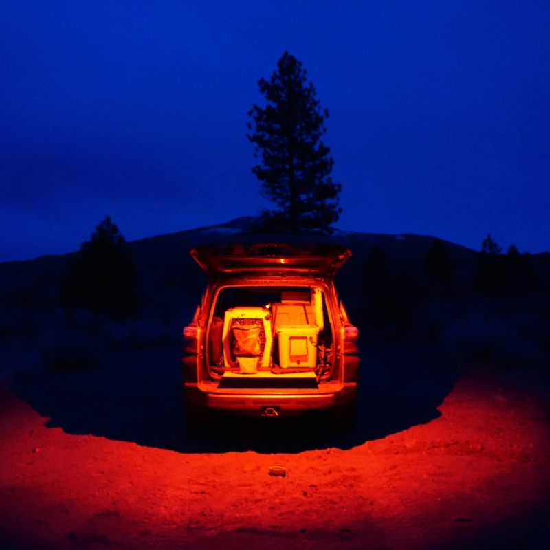 LED Rock Light - Universal